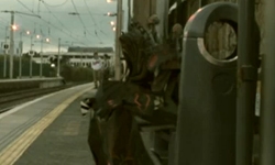 Motionographer® avatardays