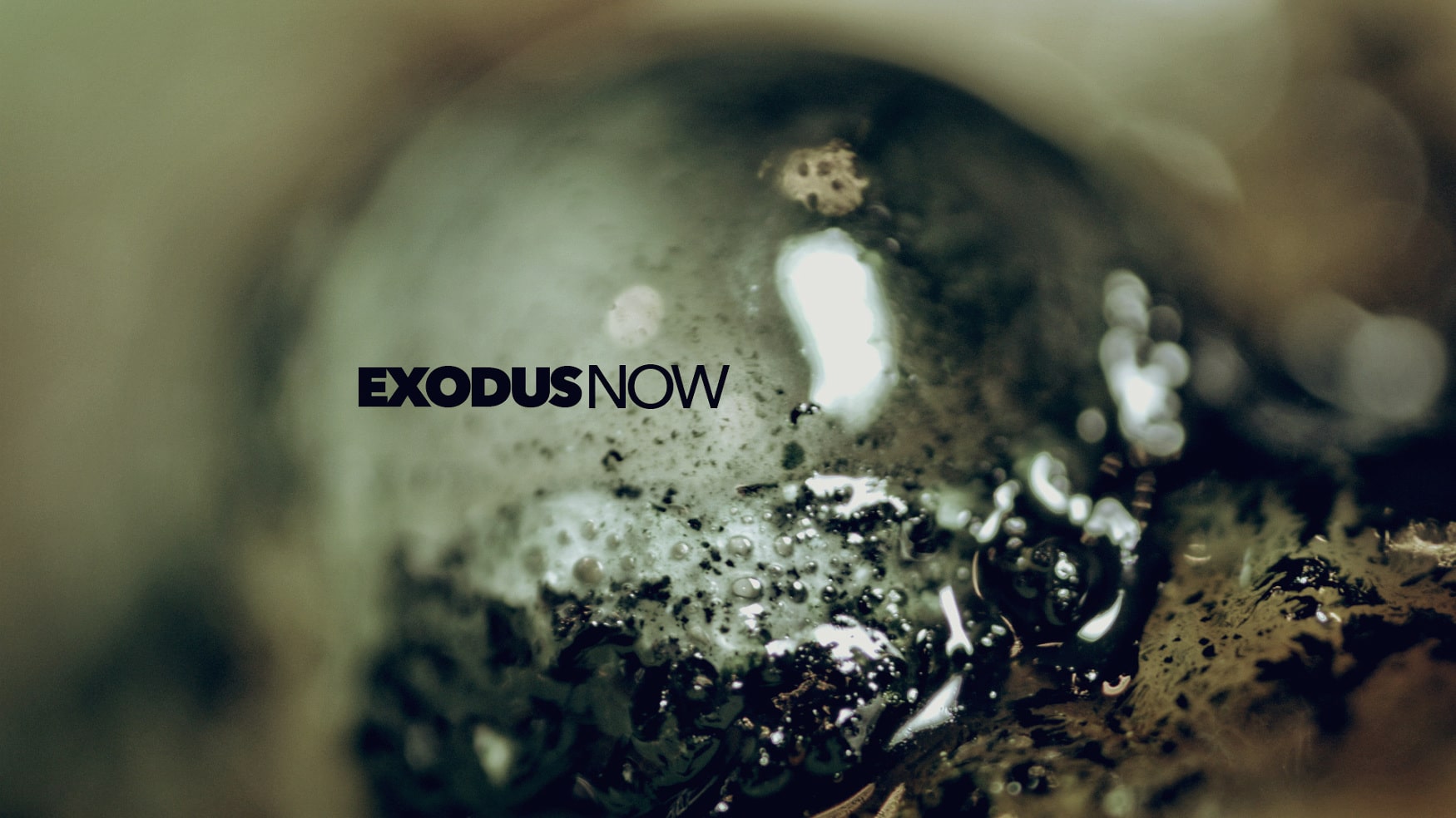 Motionographer® Gregory Herman updates