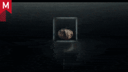 Motionographer® Unexpected Inspiration™