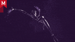 Motionographer® Unexpected Inspiration™