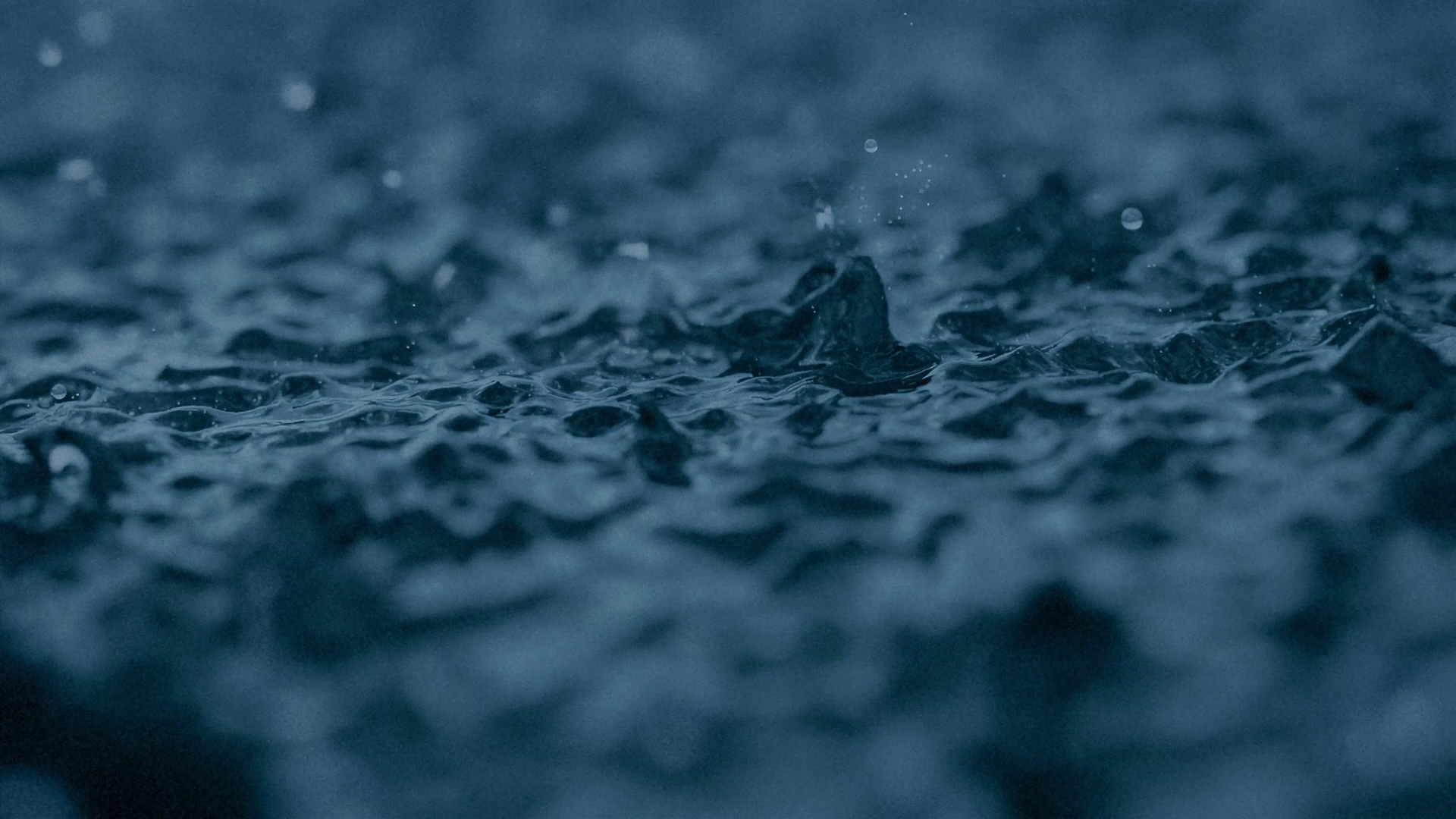 Motionographer® Dimitrios Sakkas – Tomakti Studio | The Little Things ...