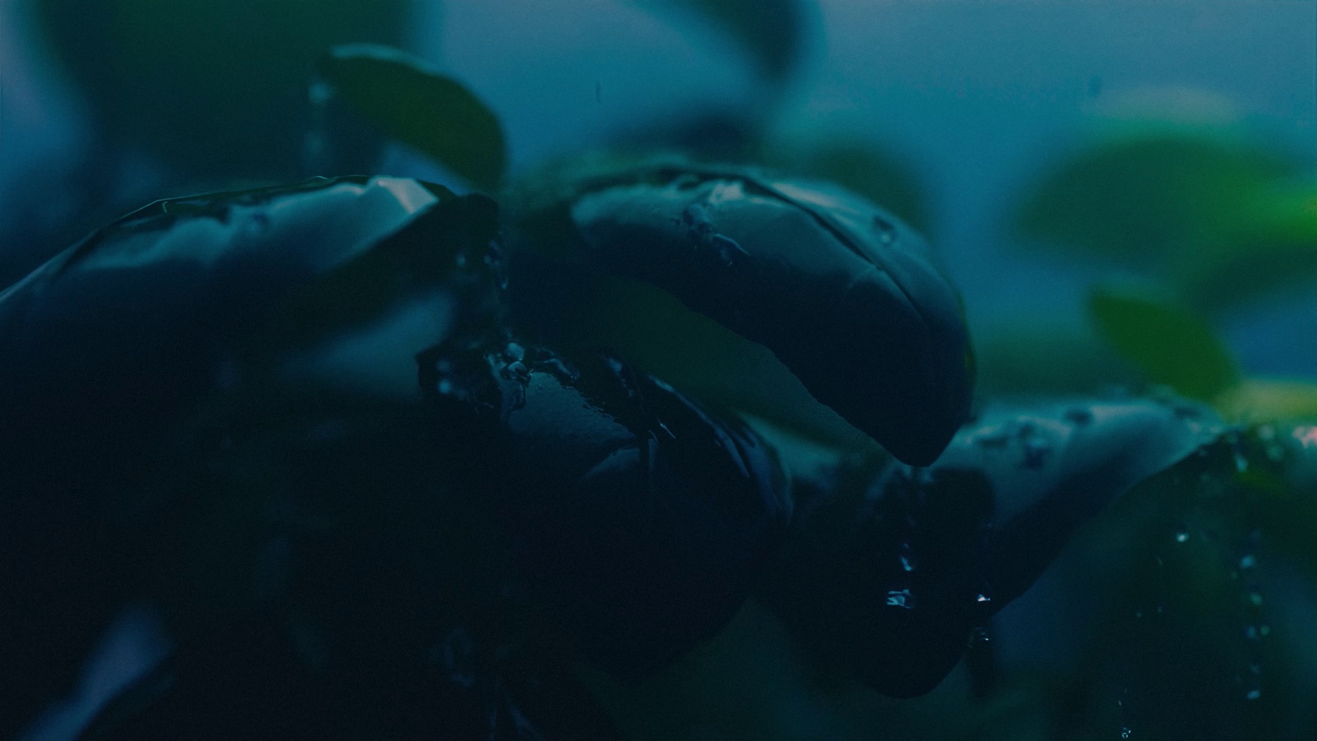 Motionographer® Dimitrios Sakkas – Tomakti Studio | The Little Things ...